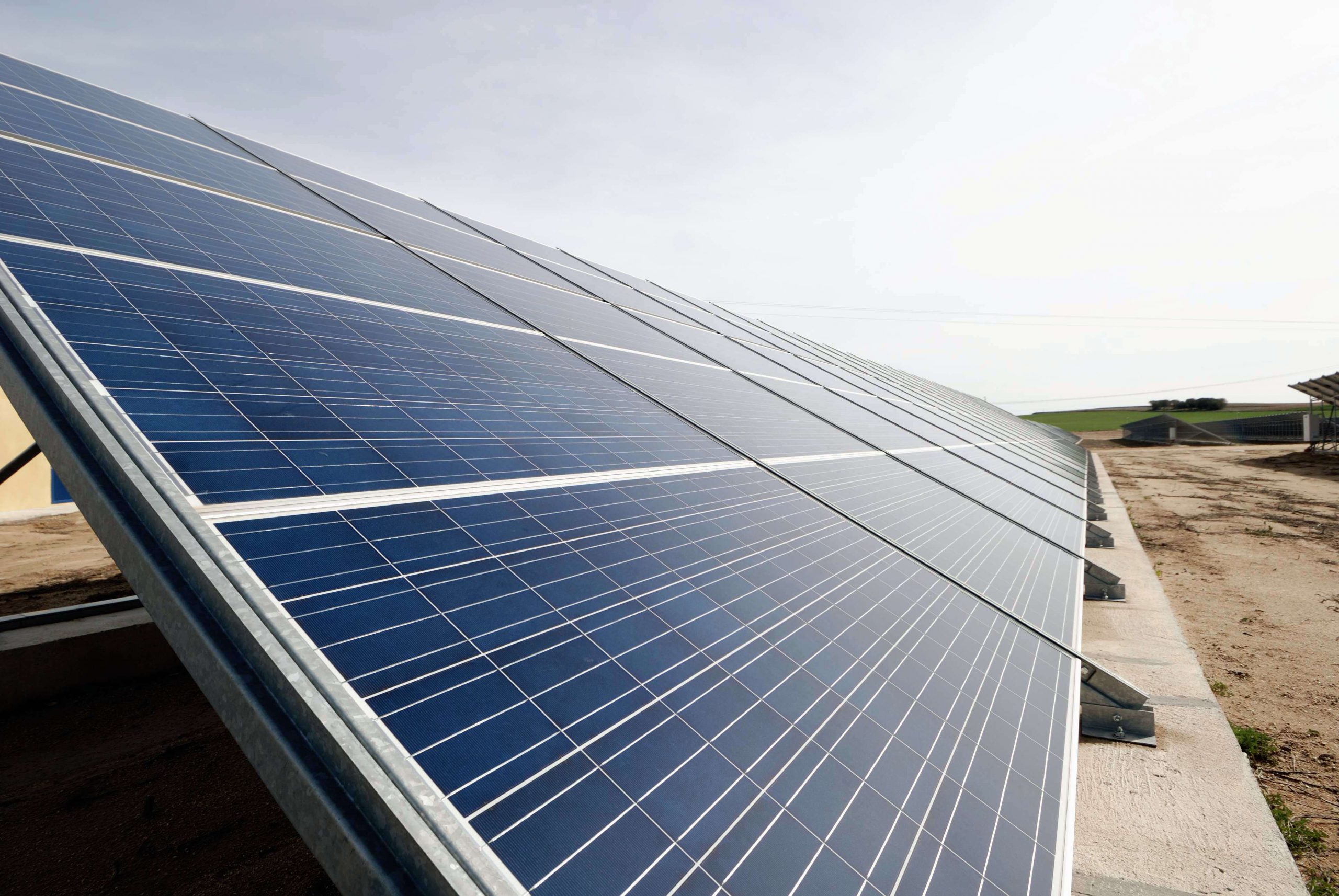 FRV awarded a 300 MW solar project in Mexico’s second electricity ...