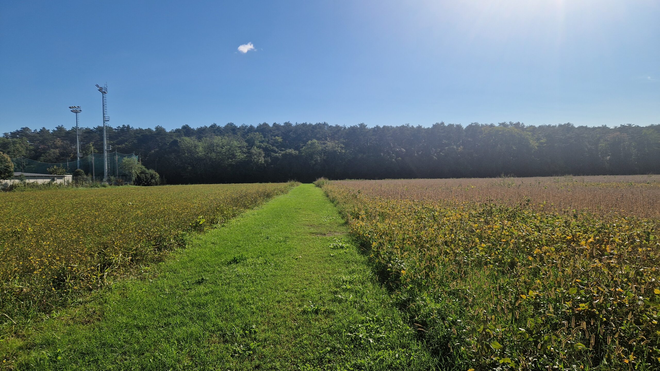 FRV - Redipuglia BESS